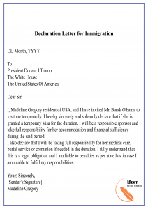 4+ Free Declaration Letter Template - Format, Sample & Example