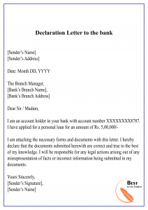 4+ Free Declaration Letter Template - Format, Sample & Example