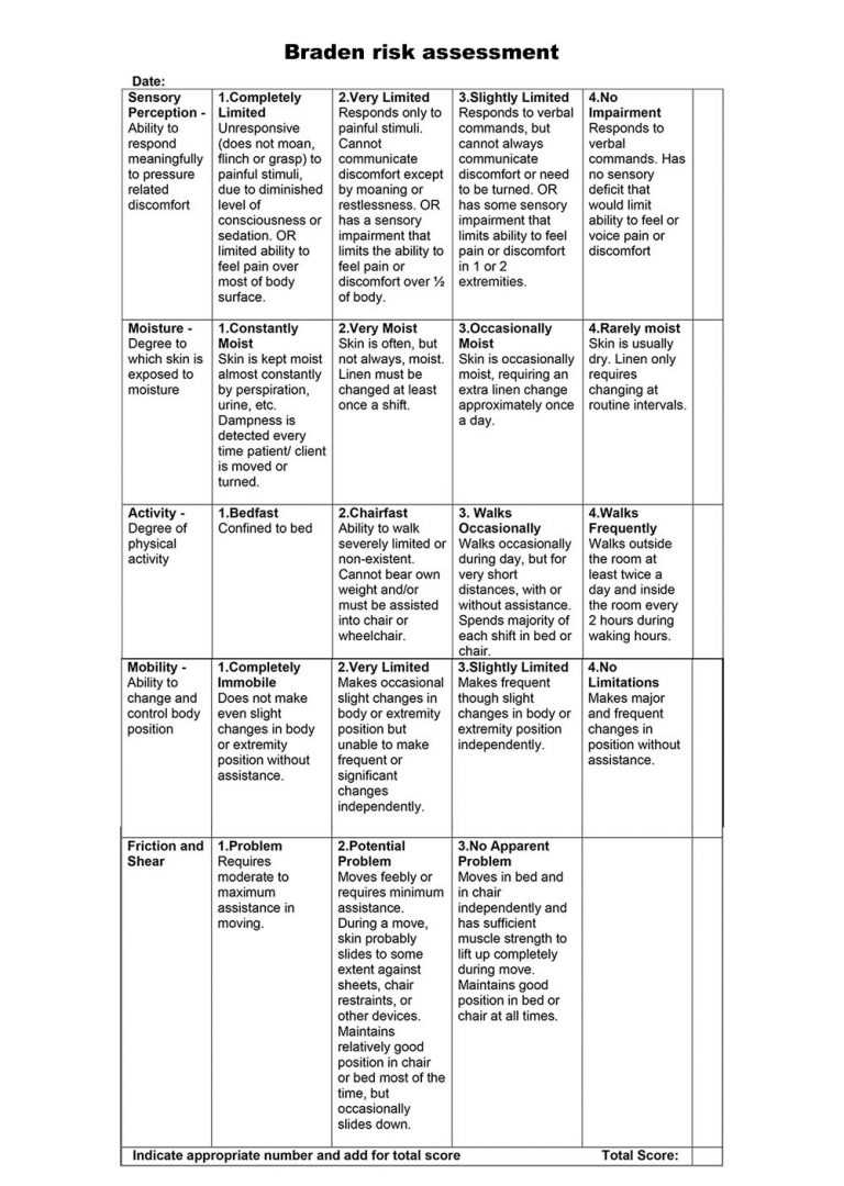 Free Sample Risk Assessment Template form with Definition